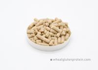 China Wheat Gluten pellet for feed nutrition ingredient for eel, shrimp, salmon for sale