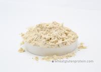China Viscoelasticity Dough Tendon VWG Wheat Protein Gluten for sale