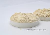 China Sausage Foods 75% High Gluten Wheat Flour for sale