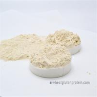 China Change Food Structure Flavor 75 KOSHER Vital Gluten Powder for sale