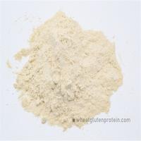 China Prolong Bread Aging Time CAS 8002-80-0 Vital Wheat Gluten for sale
