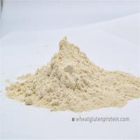 China Prolong Bread Aging Time CAS 8002-80-0 Vital Wheat Gluten for sale