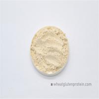 China Prolong Bread Aging Time CAS 8002-80-0 Vital Wheat Gluten for sale