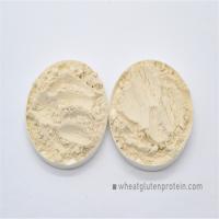 China Water Absorption Viscoelasticity Nx6.25 Dried Wheat Gluten for sale