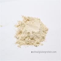 China Water Absorption Viscoelasticity Nx6.25 Dried Wheat Gluten for sale