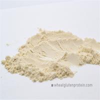 China Water Absorption Viscoelasticity Nx6.25 Dried Wheat Gluten for sale
