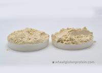 China Hamburgers Sandwich Organic HALAL Gluten Protein Powder for sale