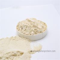 China Slightly Yellowish 8002-80-0 Dried Wheat Gluten Powder for sale