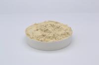 China Meat Fish Poultry Products 8002-80-0 Wheat Gluten Powder for sale