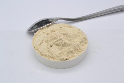 China Meat Fish Poultry Products 8002-80-0 Wheat Gluten Powder for sale