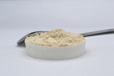 China Substitute Wheat Gluten Powder Poultry Pork Beef And Even Seafood for sale