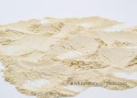 China Meat Fish Poultry Adhesive 82.2% Min Wheat Gluten Protein for sale