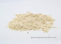 China Bread Hamburgers 75.0% Organic Vital Wheat Gluten for sale