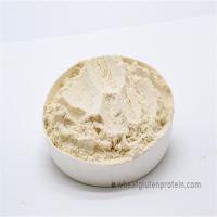 China Physical Extraction Cas No 8002-80-0 Dried Wheat Gluten for sale