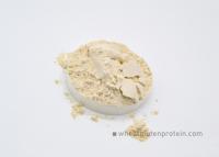 China Flour Fortifier Bread Sandwich Hamburger Vital Wheat Gluten for sale