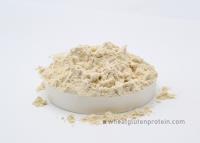China Feed Nutrition Additive CAS 8002-80-0 Wheat Starch Gluten for sale