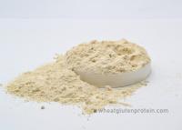 China Fine Fodders Dried Wheat Gluten Powder For Prawn Eel Crab for sale
