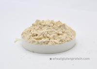 China CAS No 8002-80-0 Food Grade Vital Wheat Gluten Powder High Protein for sale