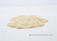 China Food Ingredients Vital Wheat Gluten Protein 82.2% Protein for sale
