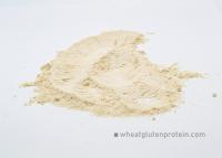 China Hamburgers Sandwich 8002-80-0 Wheat Gluten Protein Powder for sale