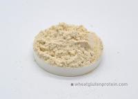 China Hamburgers Sandwich 8002-80-0 Wheat Gluten Protein Powder for sale