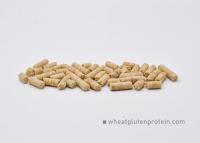 China Protein Nutrition Additives HALAL Gluten Feed Pellets for sale