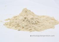 China Flour Gluten Enhancer 232-317-7 Wheat Gluten Protein Food Additive for sale