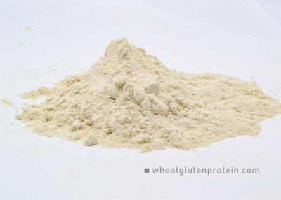 China Flour Gluten Enhancer 232-317-7 Wheat Gluten Protein Food Additive for sale