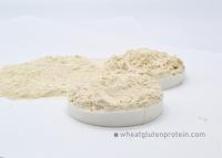 China Aquaclture Feed Nx6.25 Vital Wheat Gluten 82.2% Wheat Gluten Protein for sale