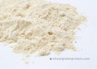 China Natural Nx6.25 Organic Wheat Protein Powder As Adhesive For Meat Fish Products for sale