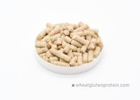 China Cylindrical Vital Wheat Gluten Pellets As Feed Nutrition Enhancers Used In Additive For Aquaclture Feed for sale
