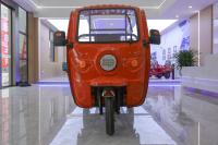 China 3 Wheel Cargo Electric Tricycle With Canopy Crop Transport Electric Tricycle For Cargo for sale