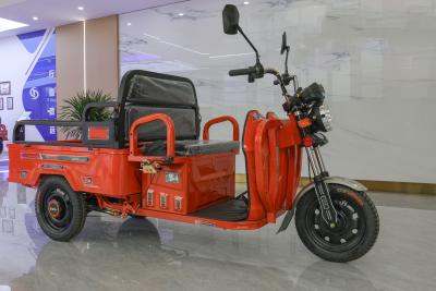 China 50KM/H 800w Passenger 2 Seater Electric Tricycle For Adults for sale