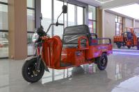China 50KM/H 800w Passenger 2 Seater Electric Tricycle For Adults for sale