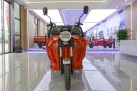China 50KM/H 800w Passenger 2 Seater Electric Tricycle For Adults for sale
