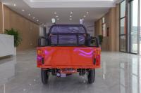 China 50KM/H 800w Passenger 2 Seater Electric Tricycle For Adults for sale