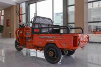China 50KM/H 800w Passenger 2 Seater Electric Tricycle For Adults for sale