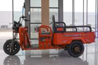 China 50KM/H 800w Passenger 2 Seater Electric Tricycle For Adults for sale