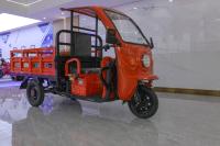 China 50KM/H 2 Seater Electric Passenger Tricycle For Adults for sale