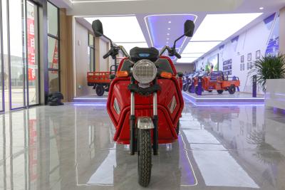 China 1.6m Large Capacity Open Body 3 Wheel Cargo 30km/H 48-60V Red for sale