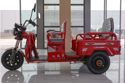 China 500W Electro Tricycle 48V Family Multi Mode 40-70Km/H 48-60V for sale