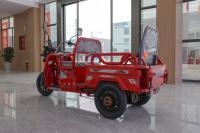 China 800w Passenger Electric Tricycle With Back Seat Foldable Safety Guardrail for sale