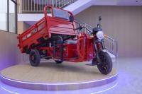 China Small leisure passenger tricycle taxi for sale