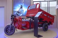 China Tricycle Cargo Bike Adults Motorized Various Cargo Tricycle for sale