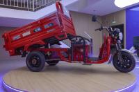 China 1.6m Large Capacity Open Body Dump For All Terrains Three Wheel Cargo for sale