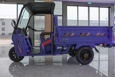 China Three Wheeled Vehicle Mini Dumper Cargo for sale