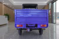 China New Electric Cargo Tricycle for Adults - Passenger Version for sale