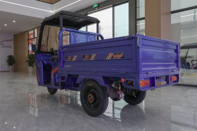 China Manufacturer Truck Electric Motorcycle Tricycles for sale