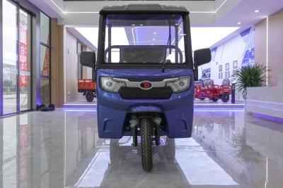 China 1.6m Passenger Long Endurance Sunroof Transport Cargo Tricycle Electric for sale