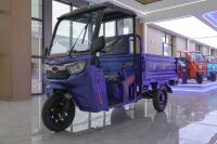 China Three Wheeled Vehicle Mini Dumper Cargo for sale